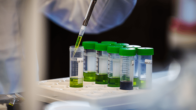 Smithers Fully Licensed to Operate as an Independent Cannabis Testing ...