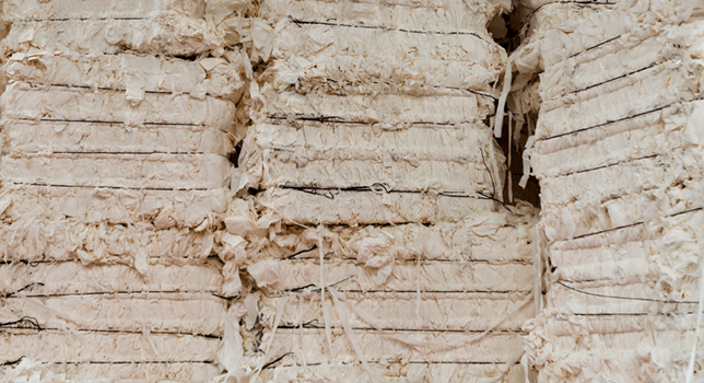 Fluff pulp market maintains steady growth