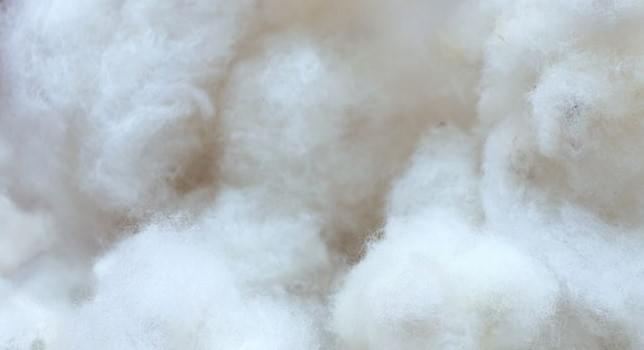 Surging prices and capacity expansions to define $8.31 billion fluff ...