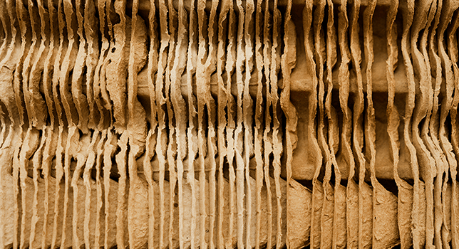 Moulded pulp packaging set for strong sustainable growth